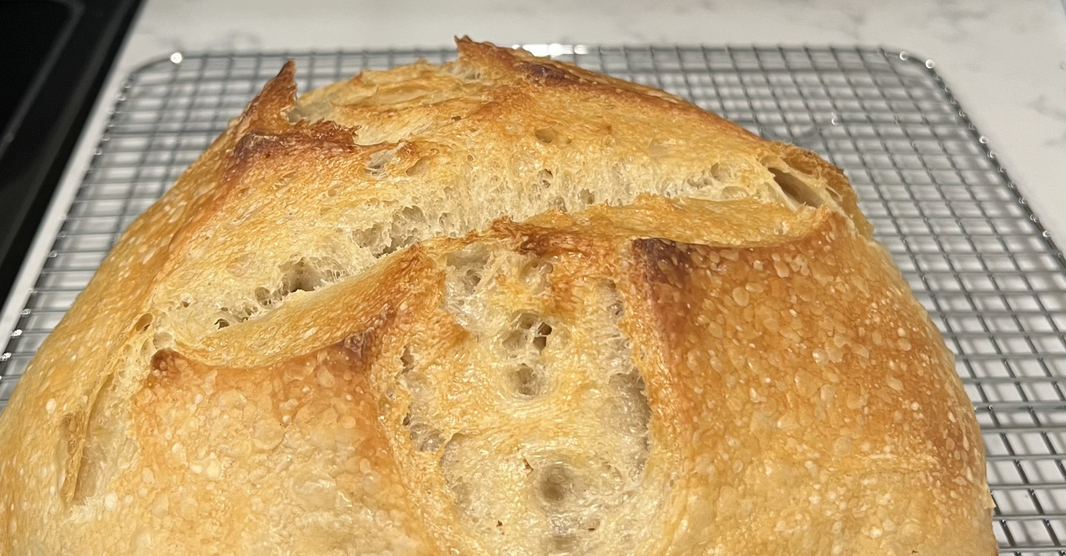 Leslie's Busy Mom Sourdough Bread Recipe